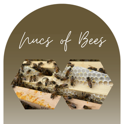 Hagen's Bees – Hagen's Bees